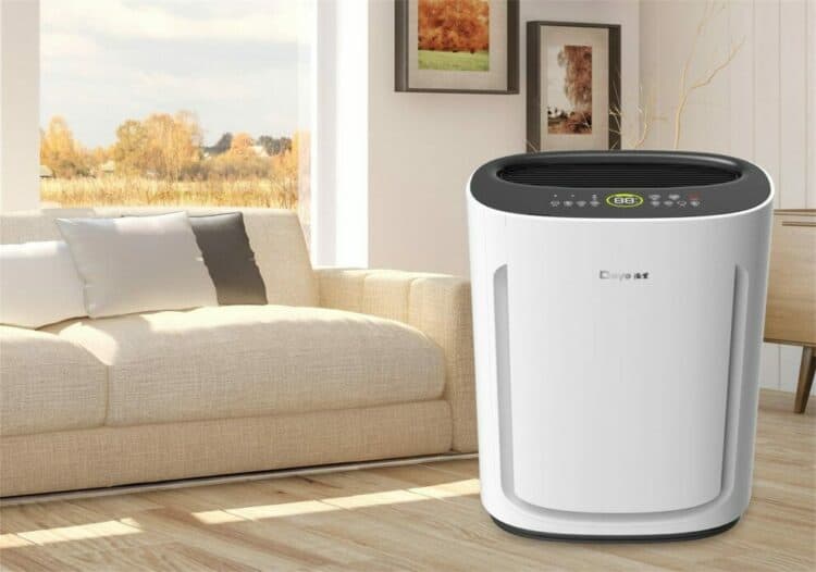 Study Reveals: The 150 Moldiest Cities in America - Deye