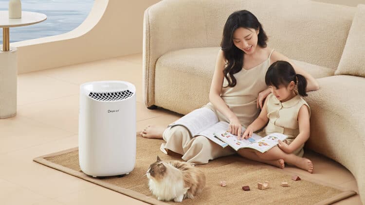 Study Reveals: The 150 Moldiest Cities in America - Deye