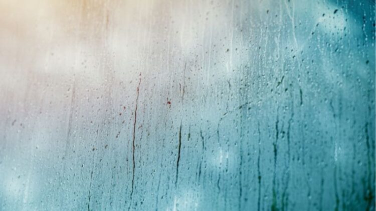 Why is Your House so Humid?- Deye