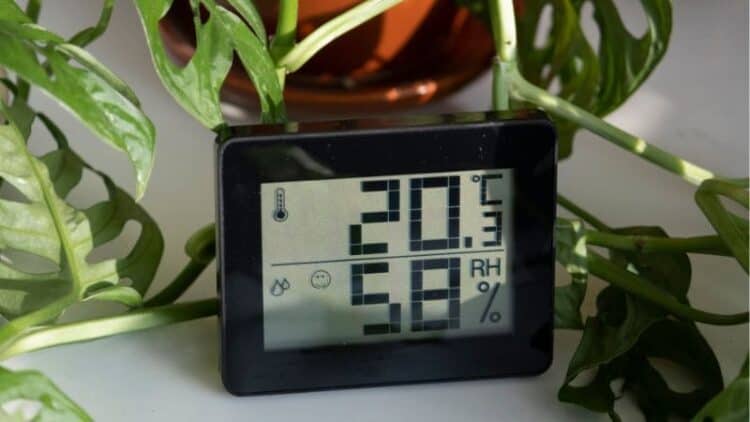 Why is Your House so Humid?- Deye