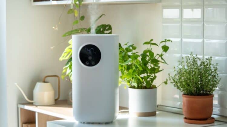 What is the Ideal Indoor Humidity Level in Winter?