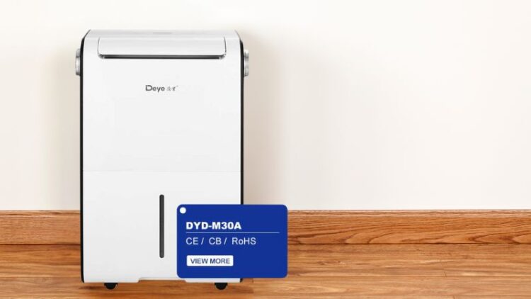 Study Reveals: The 150 Moldiest Cities in America - Deye